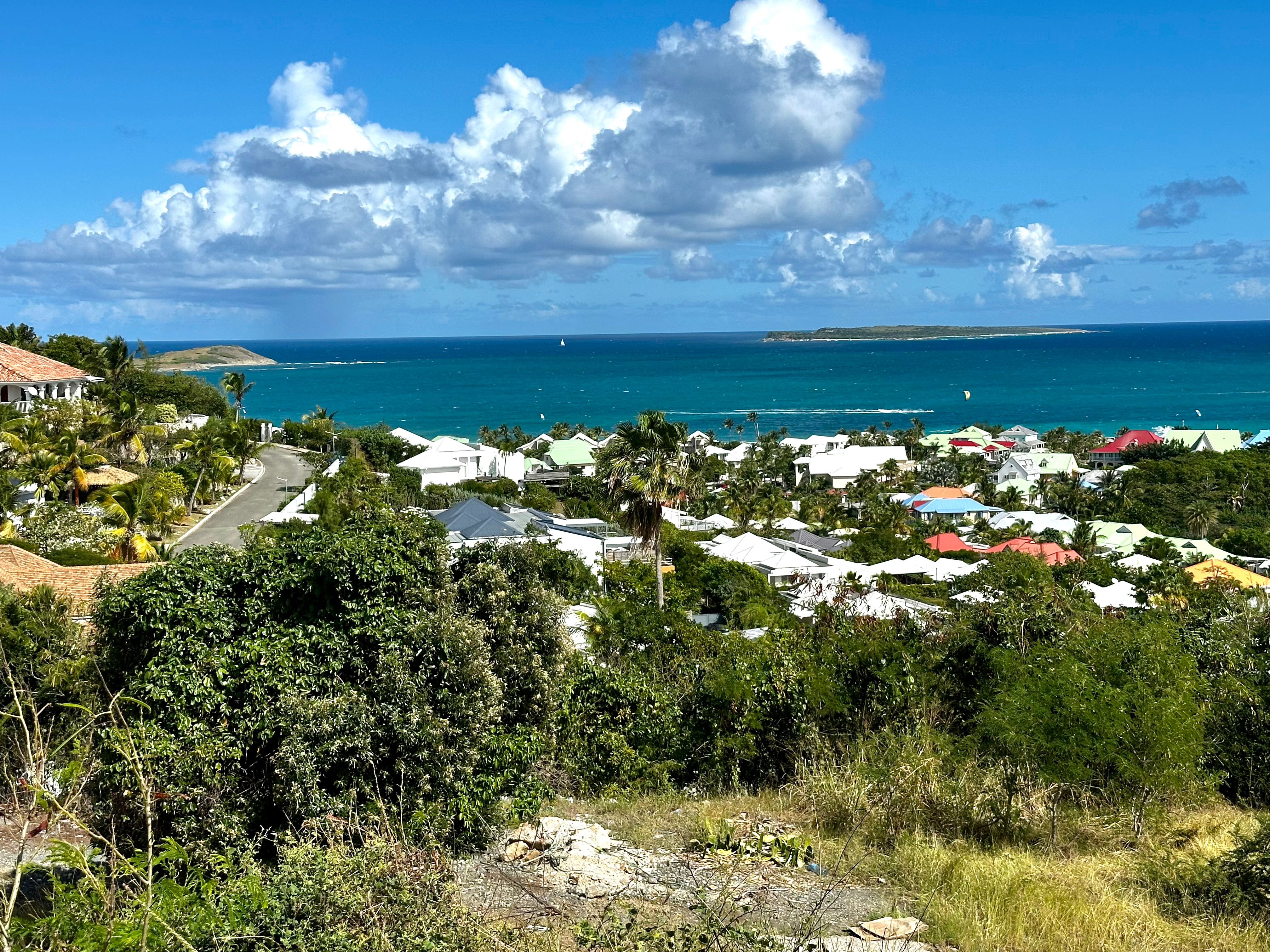 Papi & Mami Go Bonkers